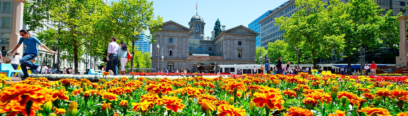 Support a Community Event in Portland - The Square